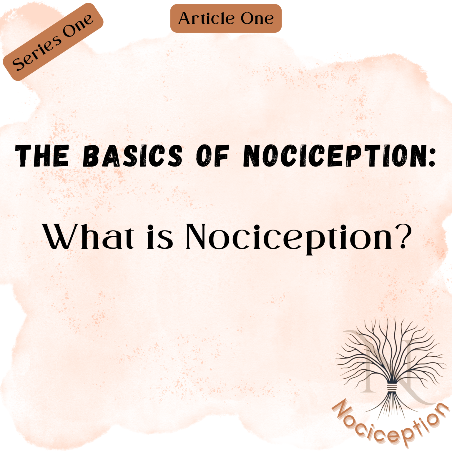Basics Of Nociception: What Is Nociception? - Nociception