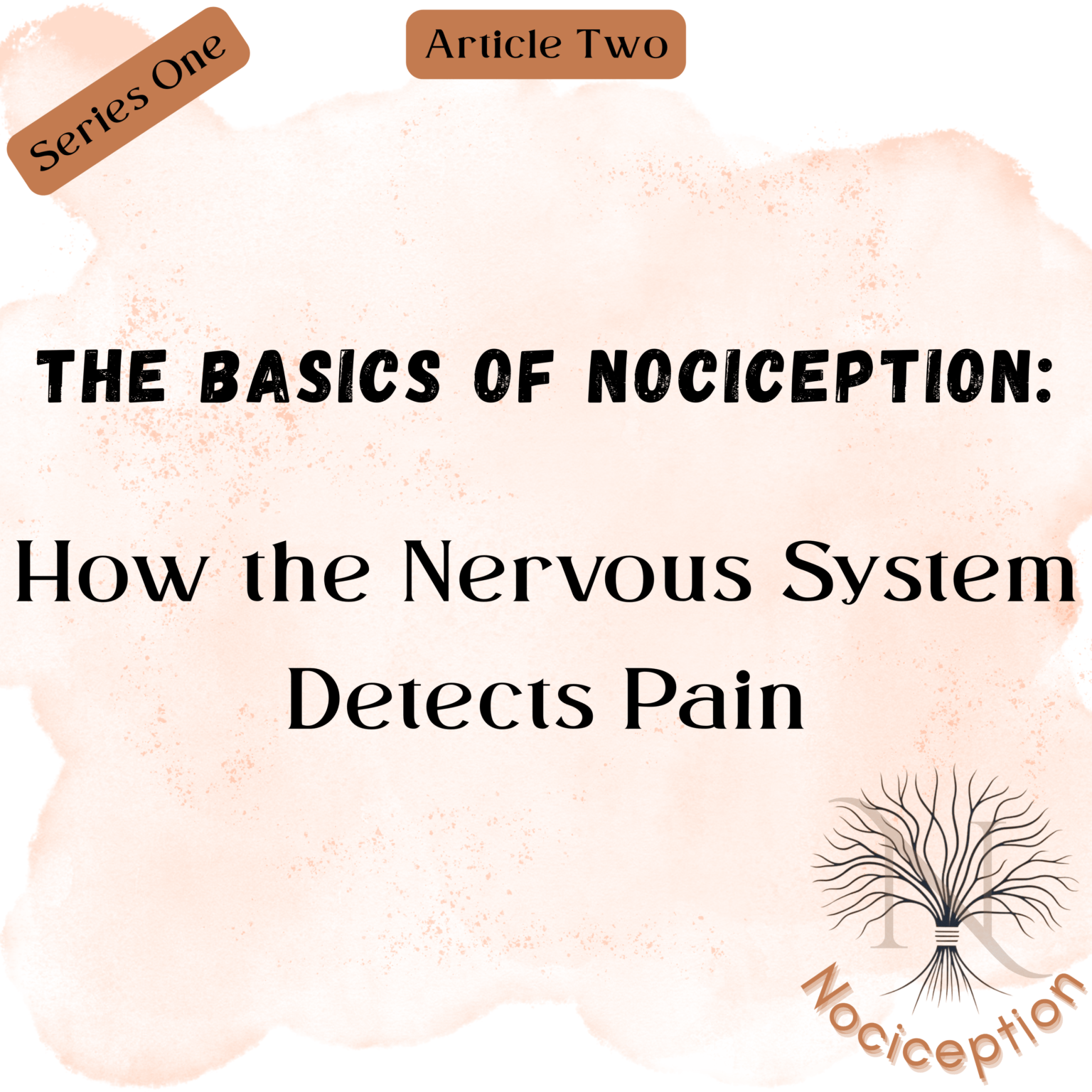 The Basics Of Nociception - How The Nervous System Detects Pain ...