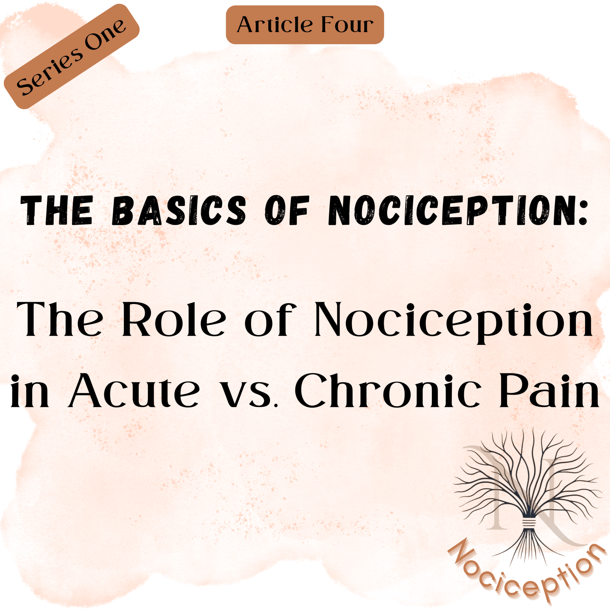 The Basics Of Nociception - The Role Of Nociception In Acute Vs ...