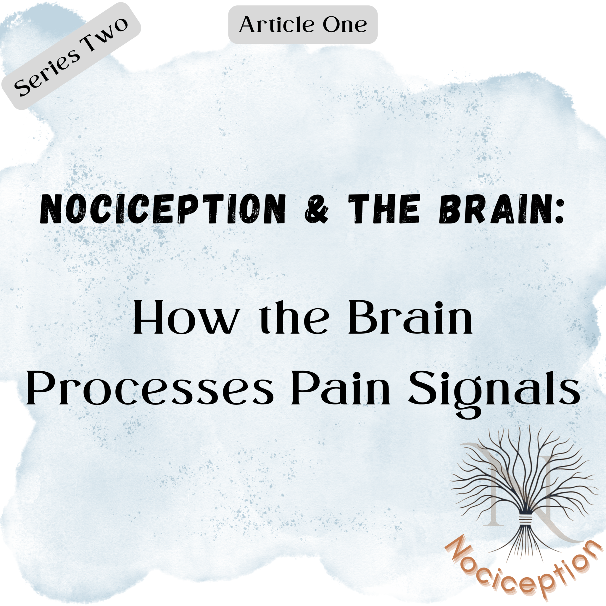 Nociception And The Brain - How The Brain Processes Pain Signals ...