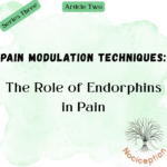 Pain Modulation Techniques - The Role Of Endorphins in Pain Relief - Nociception